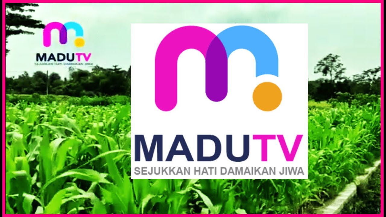 Frekuensi Madu Nusantara TV di Satelit Telkom 4 - Tracker Satelit